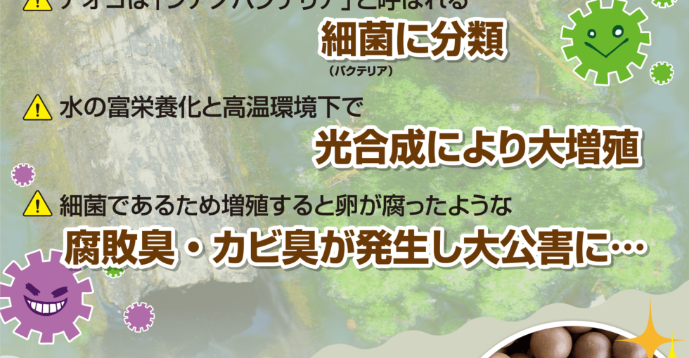 きよみずボール MTA-CS10