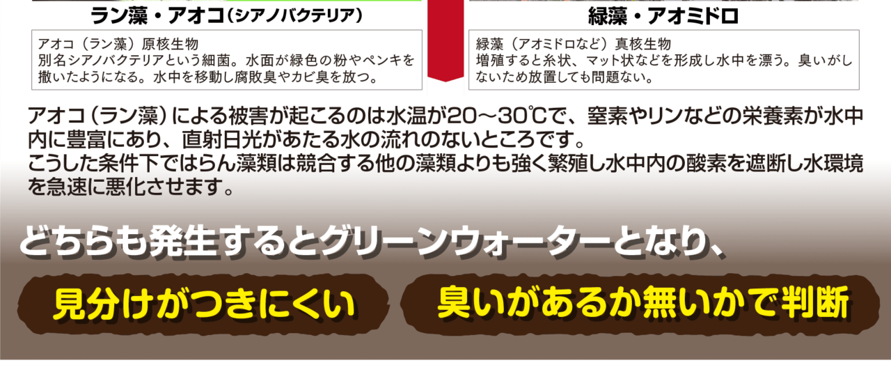 きよみずボール MTA-CS10